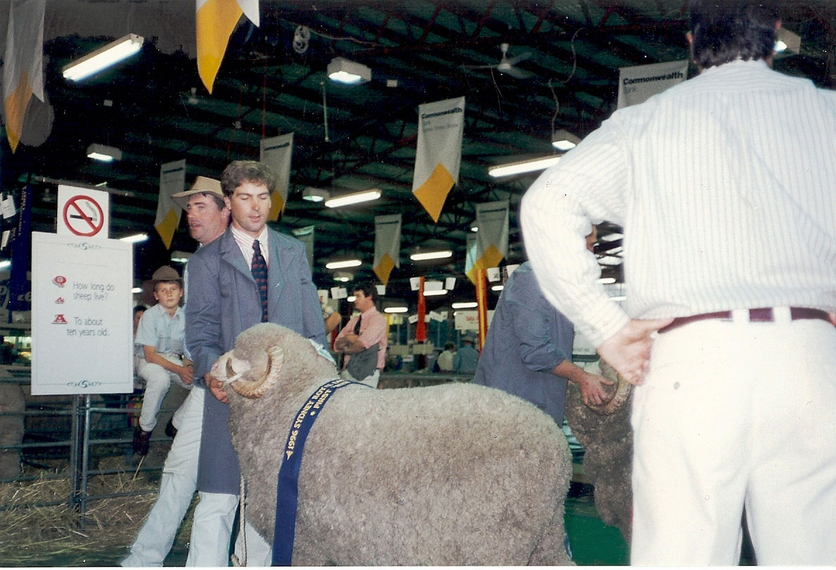 Angus Carter holding N633, Nerstane’s first winner of a blue ribbon at ...