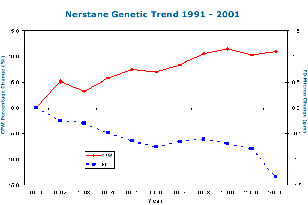 generic_trend | Nerstane Merino Stud